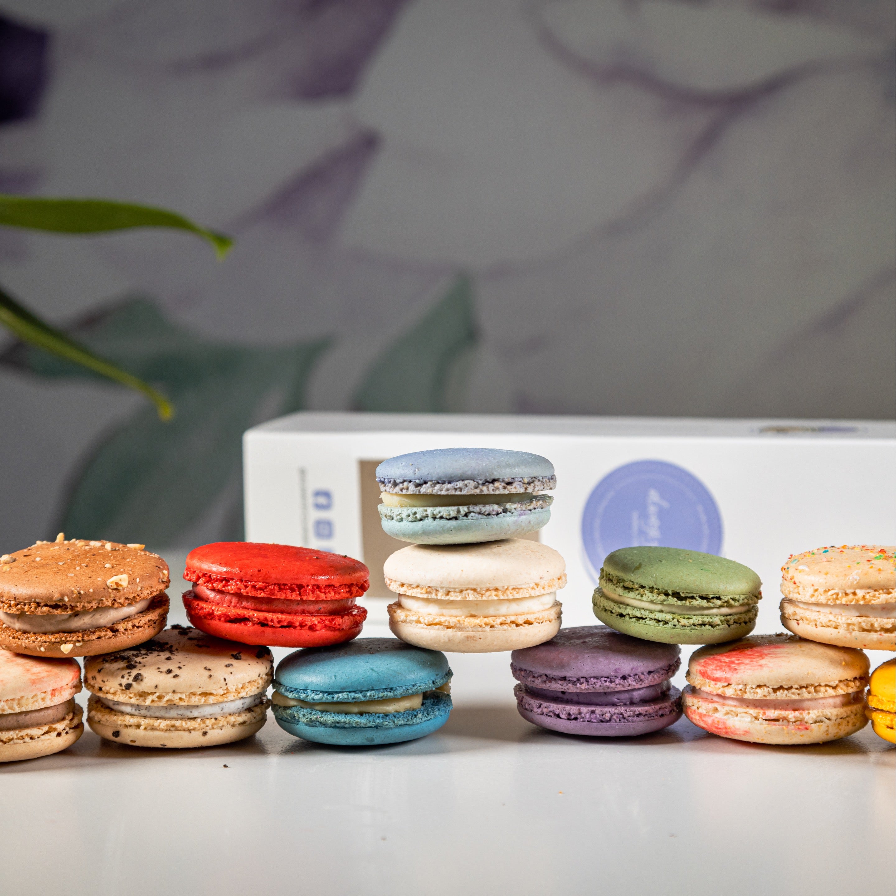 1 Dozen Regular Macarons | Always Yours Bakery Cafe